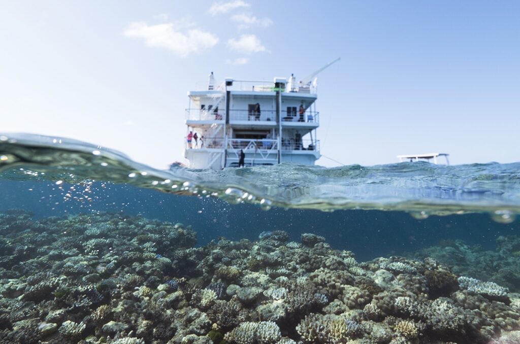 Coral Expeditions 2025/26 Cruise Deals, Destinations