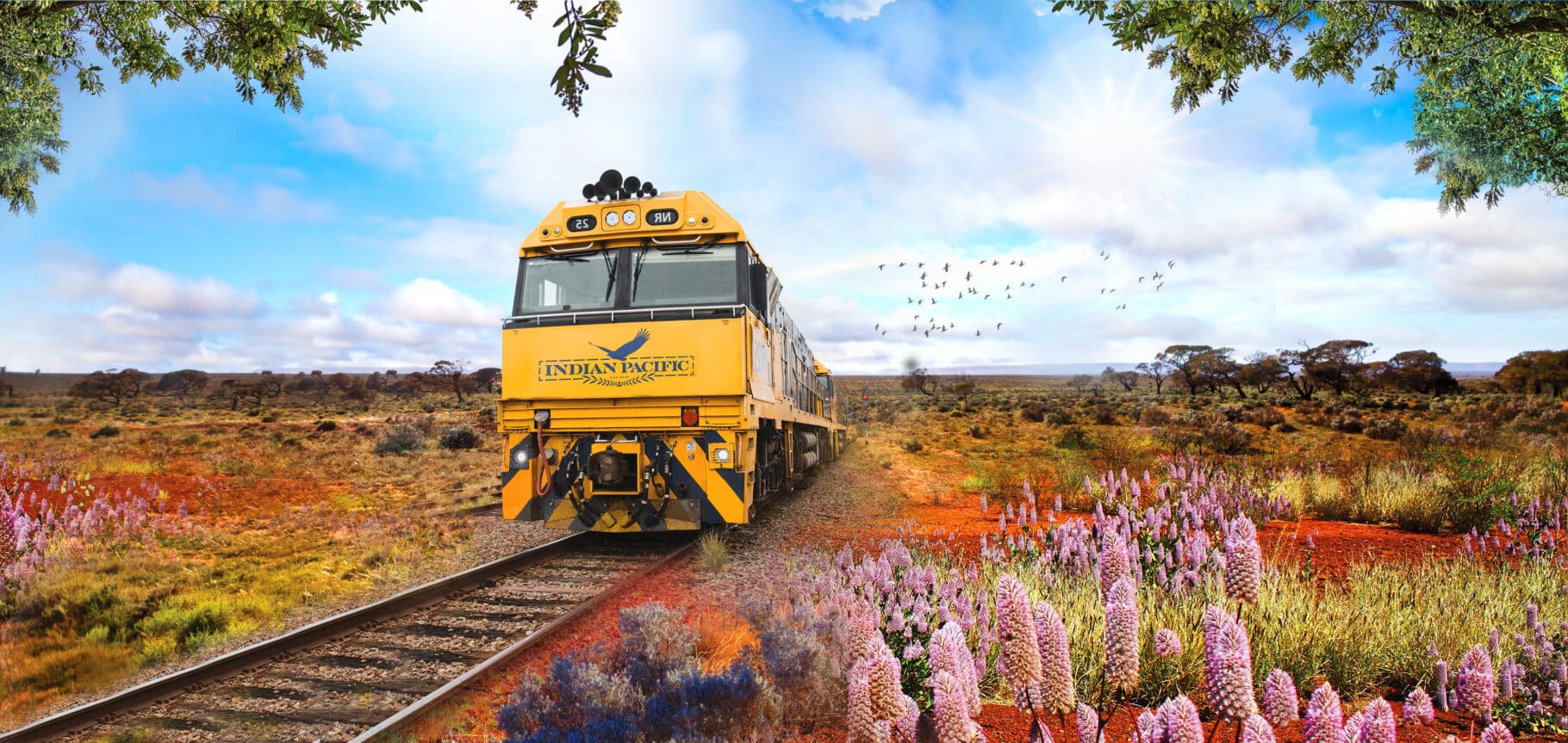 Ultimate Holiday: 22-Night Cruise And Indian Pacific Train Journey From ...