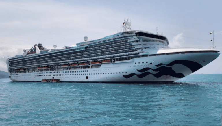 Discovery Princess To Homeport In Australia - Cruise Passenger