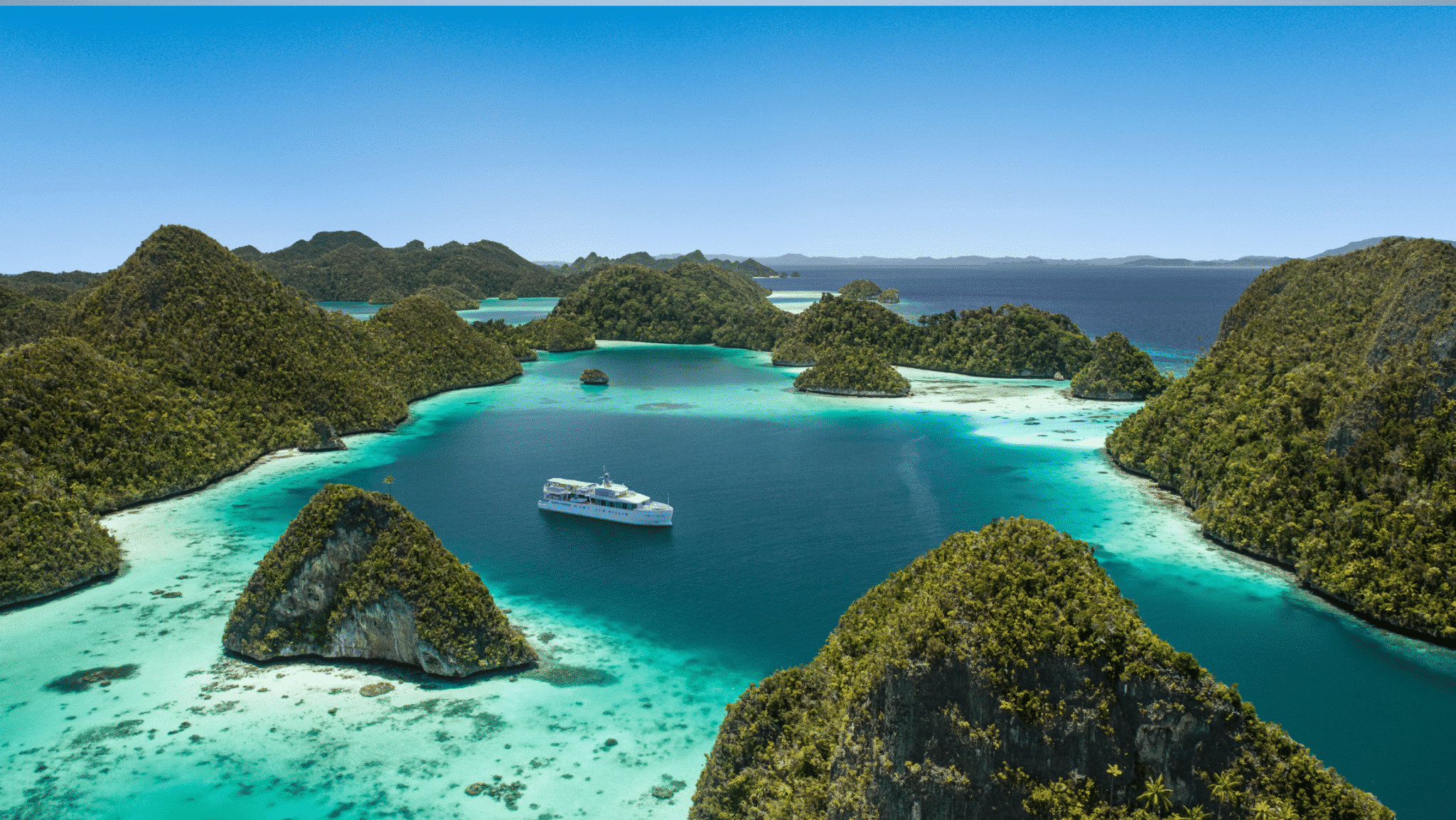 Whale Sharks, Komodo Dragons And Crocs - Watch In Style With Paspaley ...